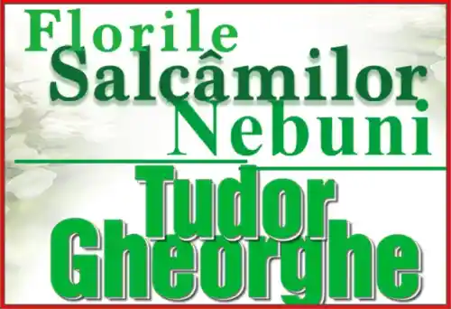 FLORILE SALCAMILOR NEBUNI 2025 PREMIERA TUDOR GHEORGHE la SALA ...